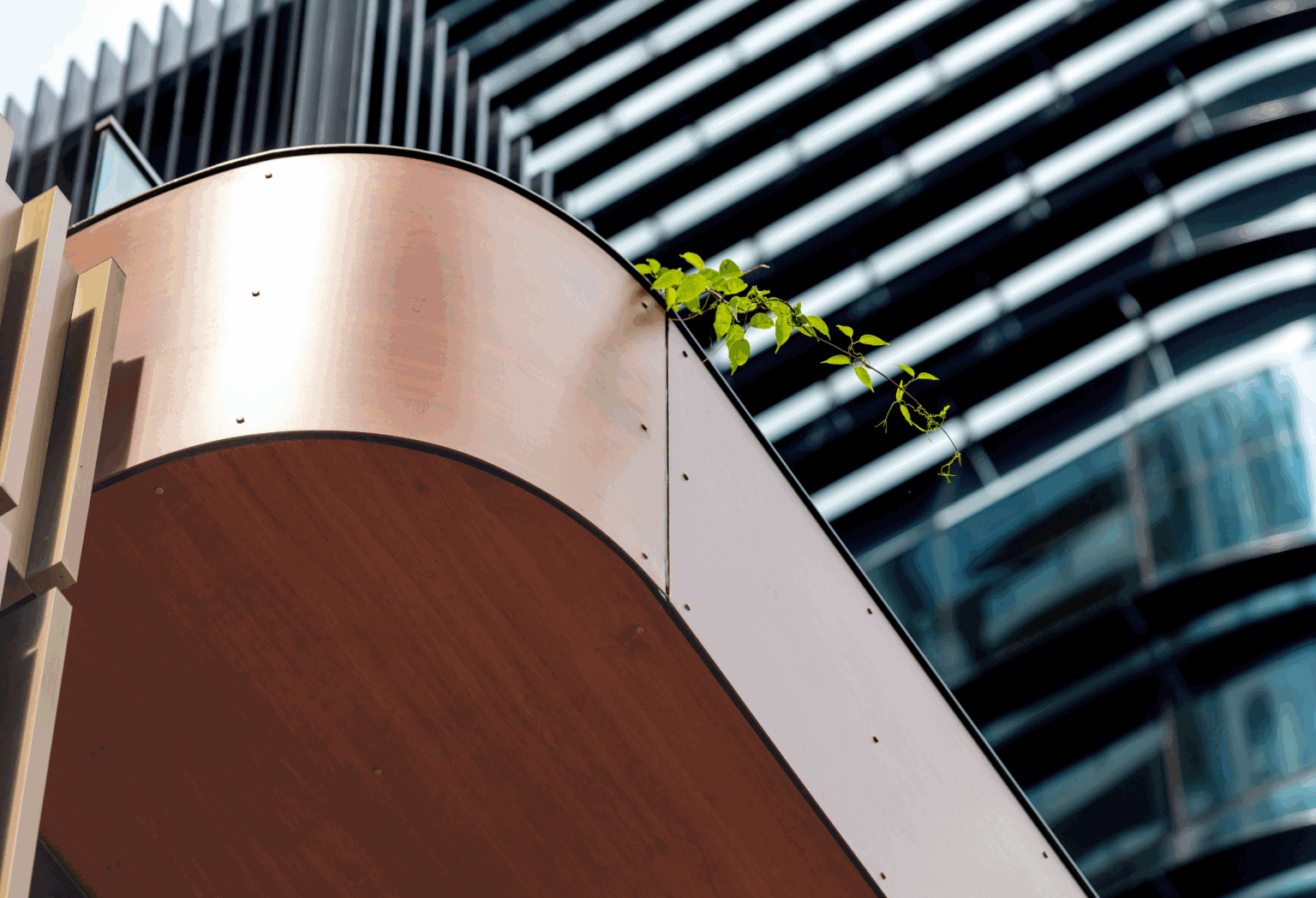 Timber Look Batten Ceilings, Soffits & Eaves | DECO