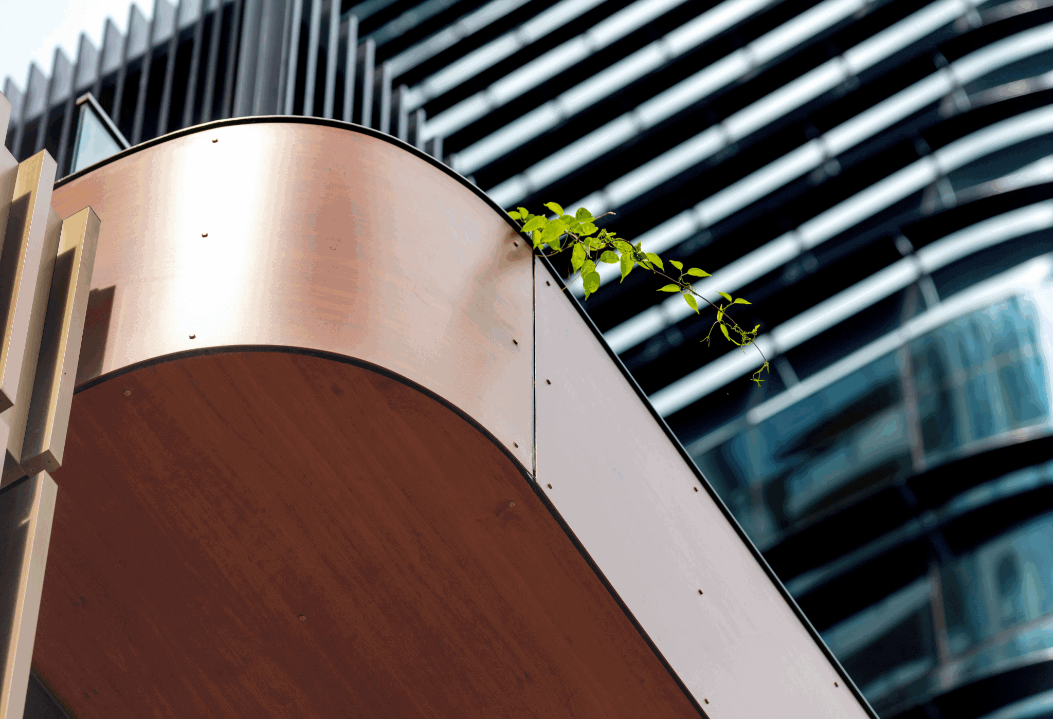 Timber Look Batten Ceilings, Soffits & Eaves | DECO